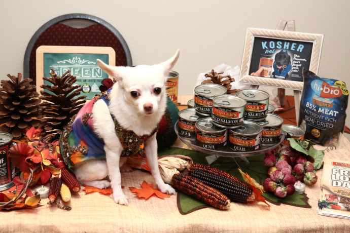 Complements Grain Free Rabbit for Dogs & Cats 6 oz – Evanger's Dog ...